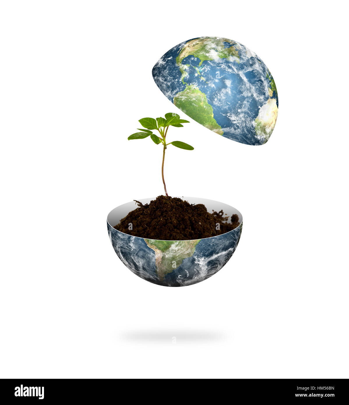 Young plant in earth isolated on white background (Elements of this ...