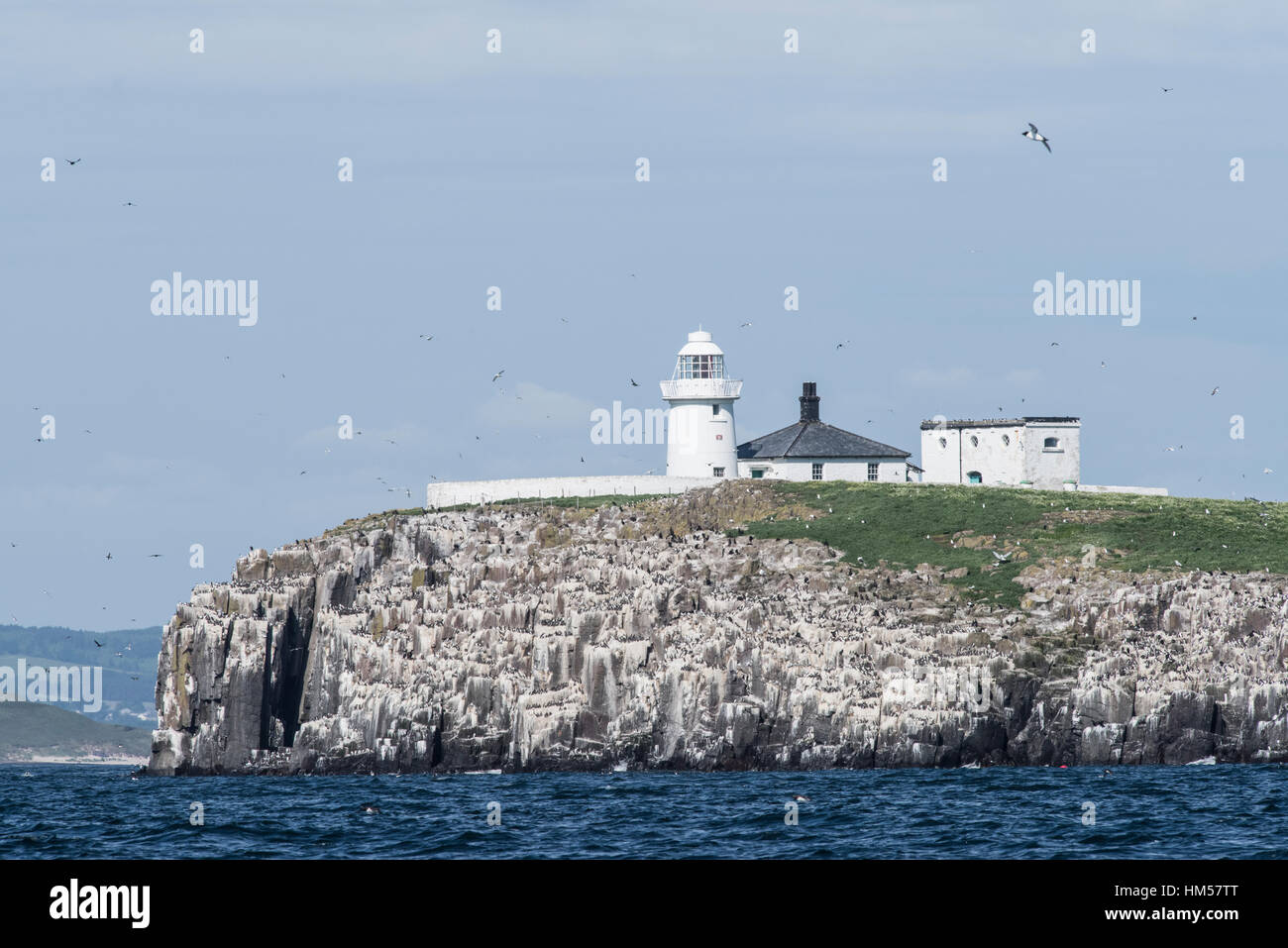 Inner Farne lighthouse, Northumberland Stock Photo - Alamy