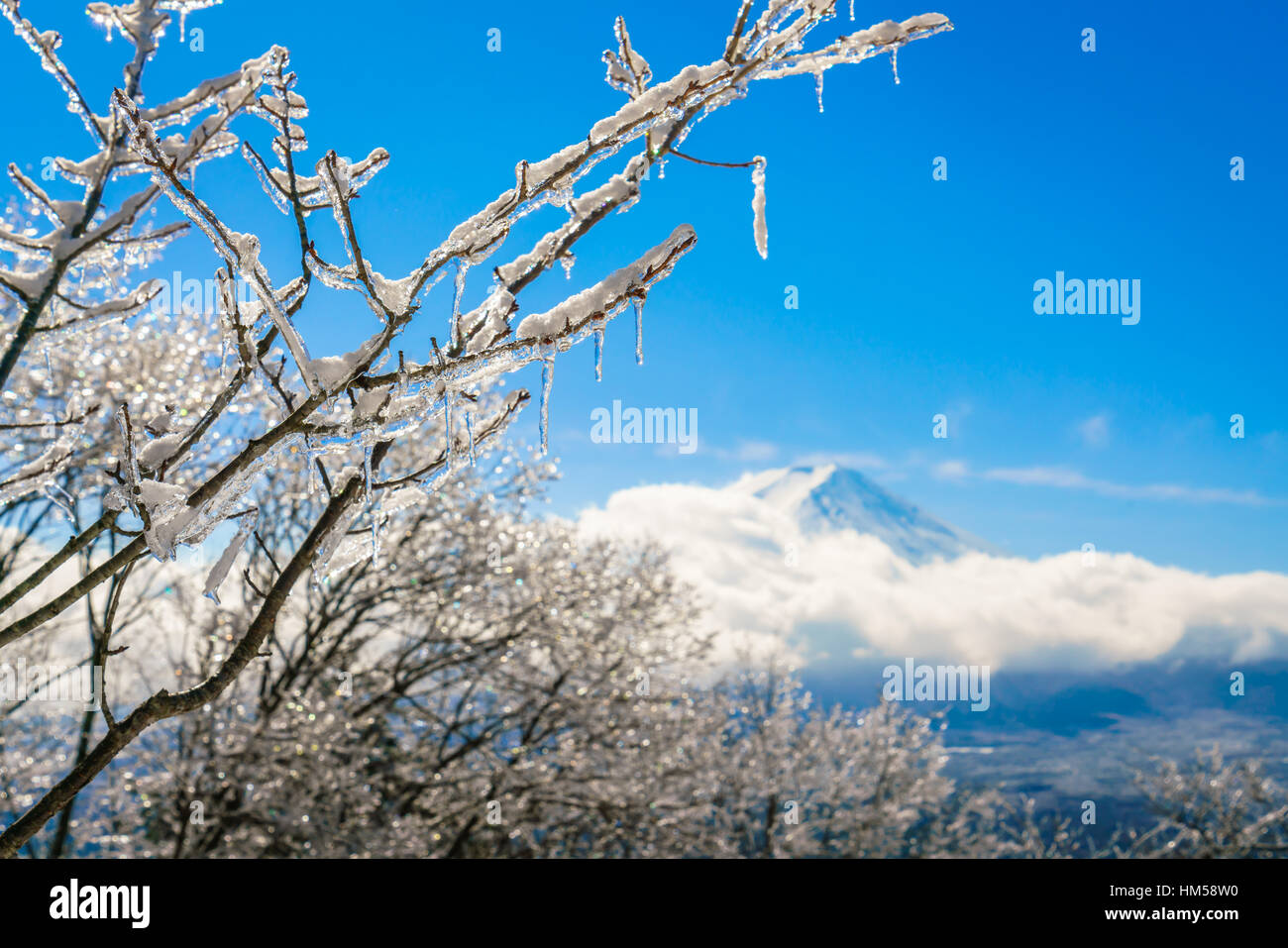 Mountain Fuji with ice coating on the trees Stock Photo - Alamy