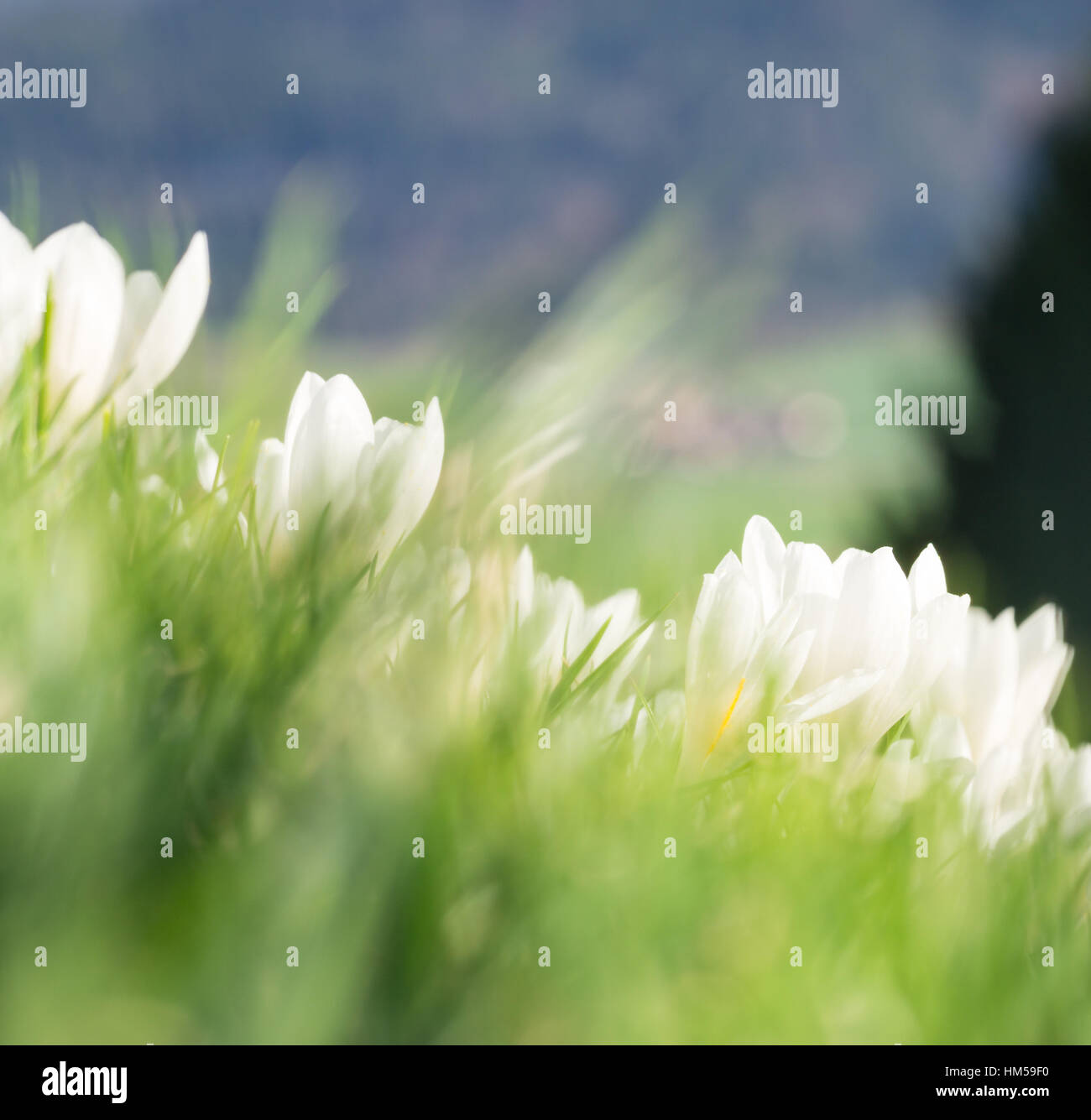 White slope hi-res stock photography and images - Alamy