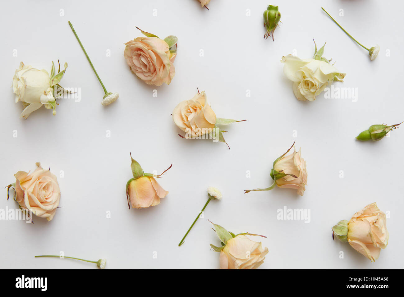 Random heads hi-res stock photography and images - Alamy