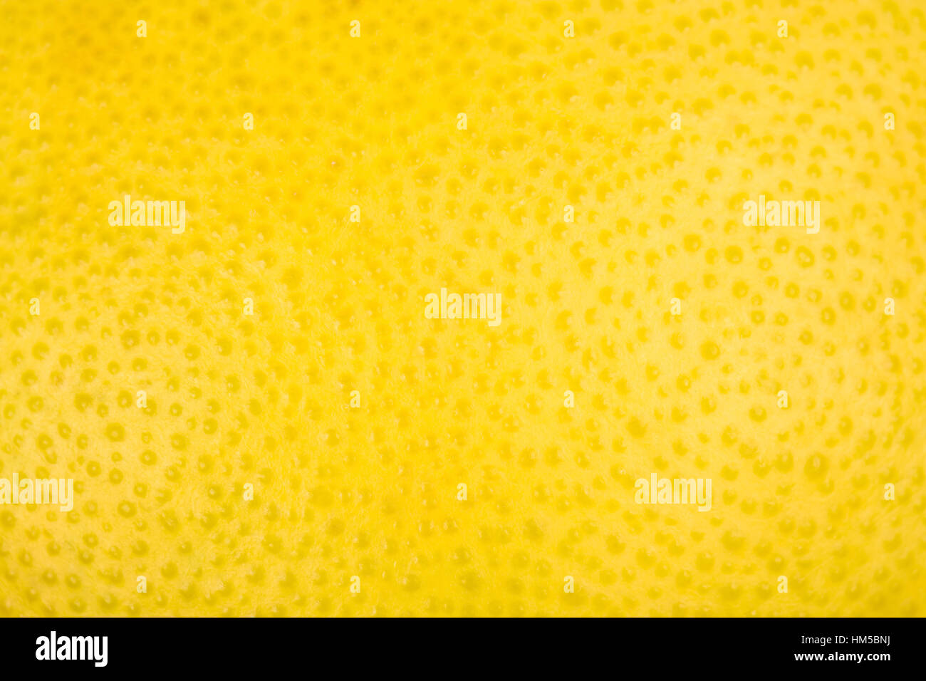 Macro citrus texture hi-res stock photography and images - Alamy