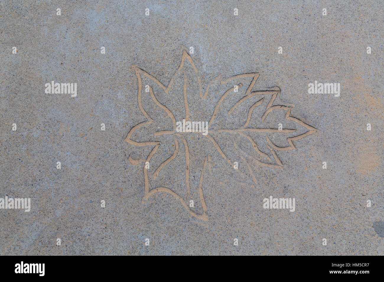 Imprint leaf on cement floor hi-res stock photography and images - Alamy