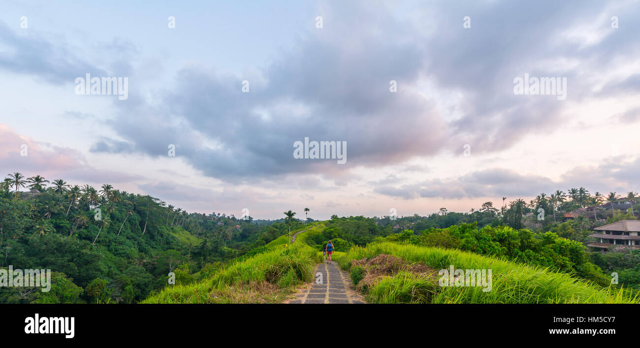 Paved path through tropical vegetation, Campuhan Ridge Walk, Bukit ...