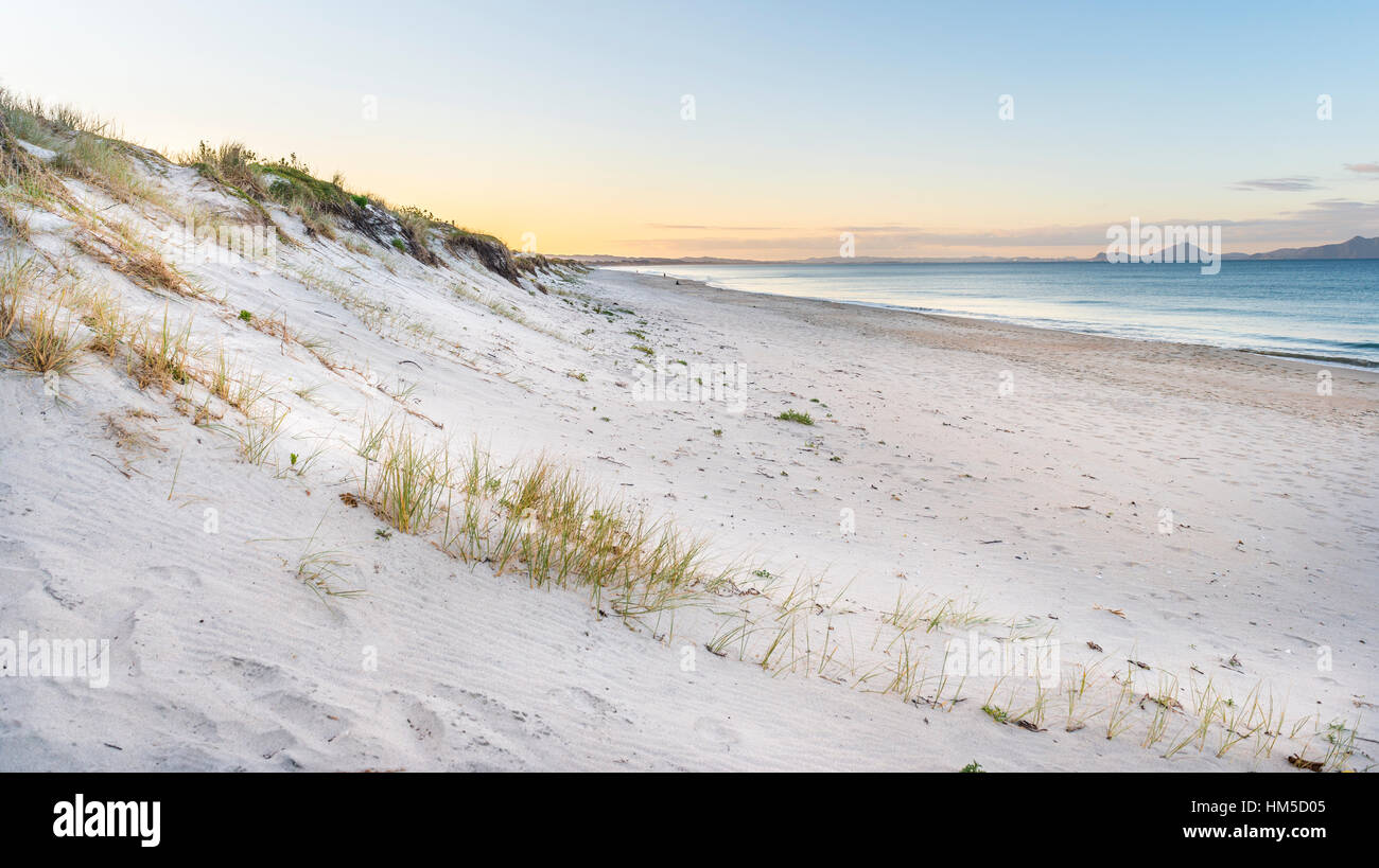 Northland new zealand hi-res stock photography and images - Alamy