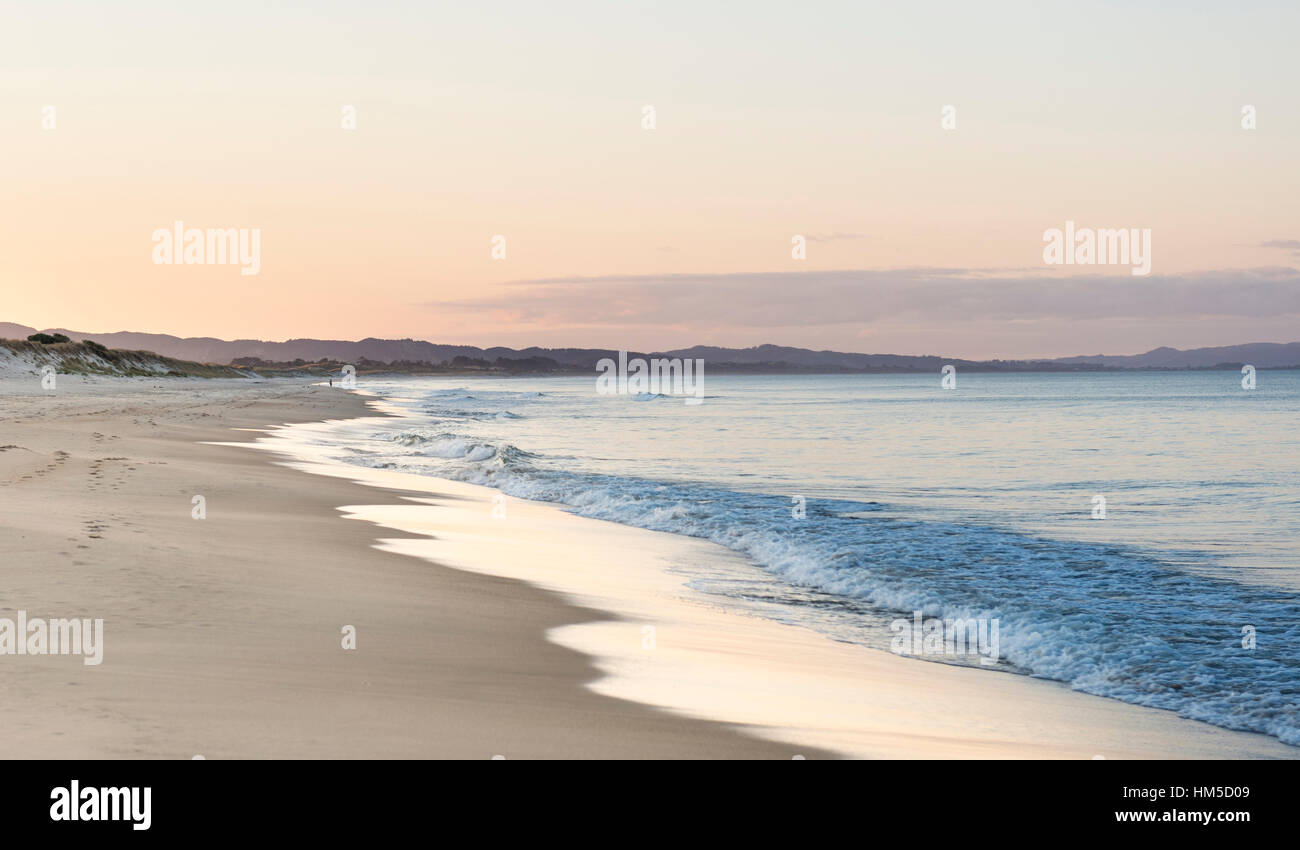 Waipu hi-res stock photography and images - Alamy
