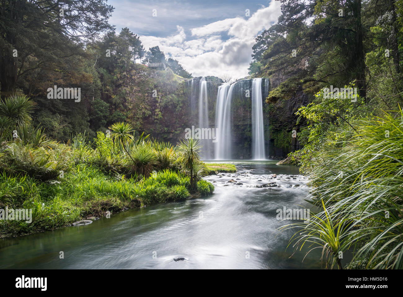 Whangarei Waterfall, temperate rainforest, Whangarei, Northland, North ...