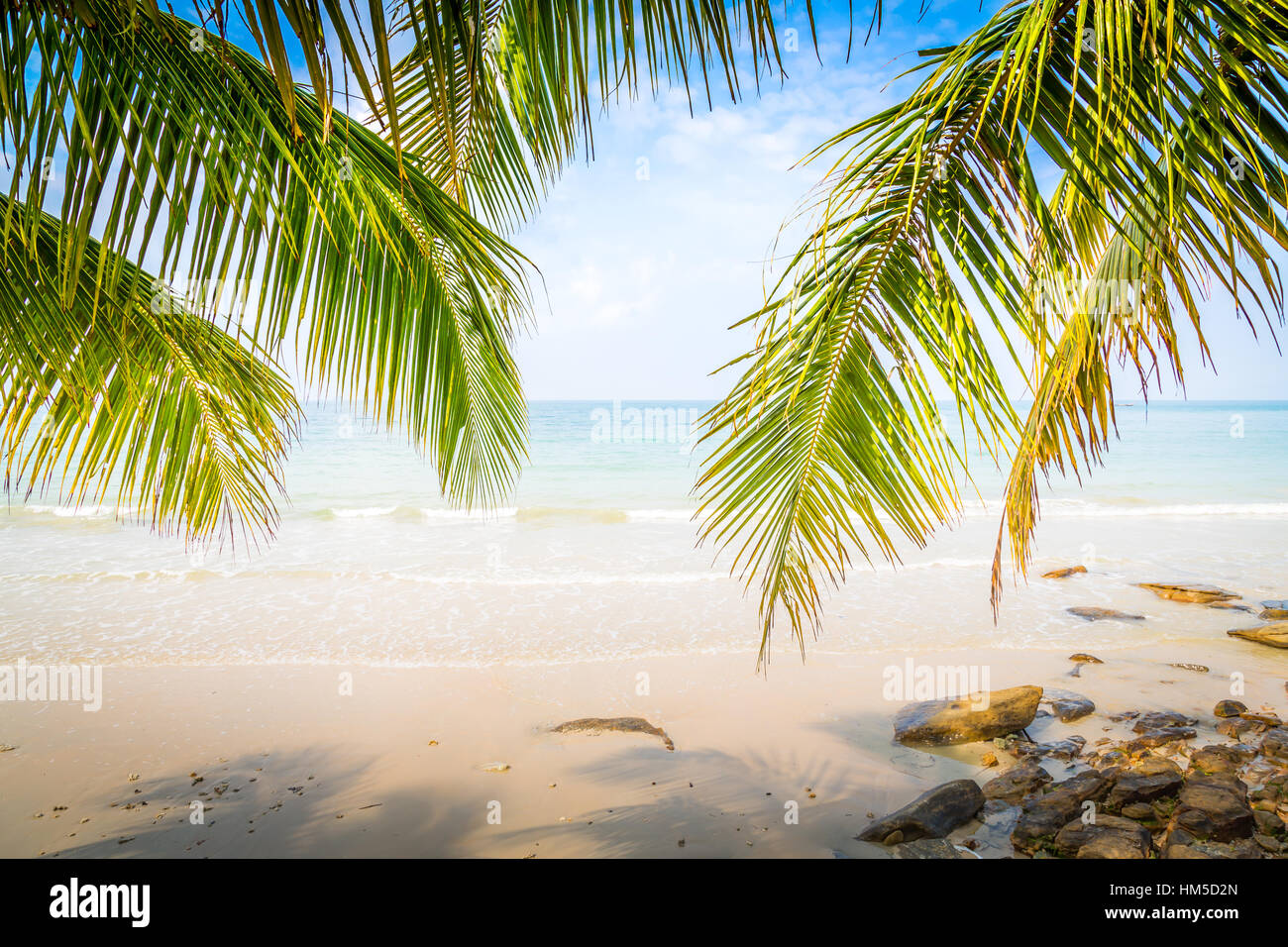 Palm leaf and tropical beach Stock Photo - Alamy