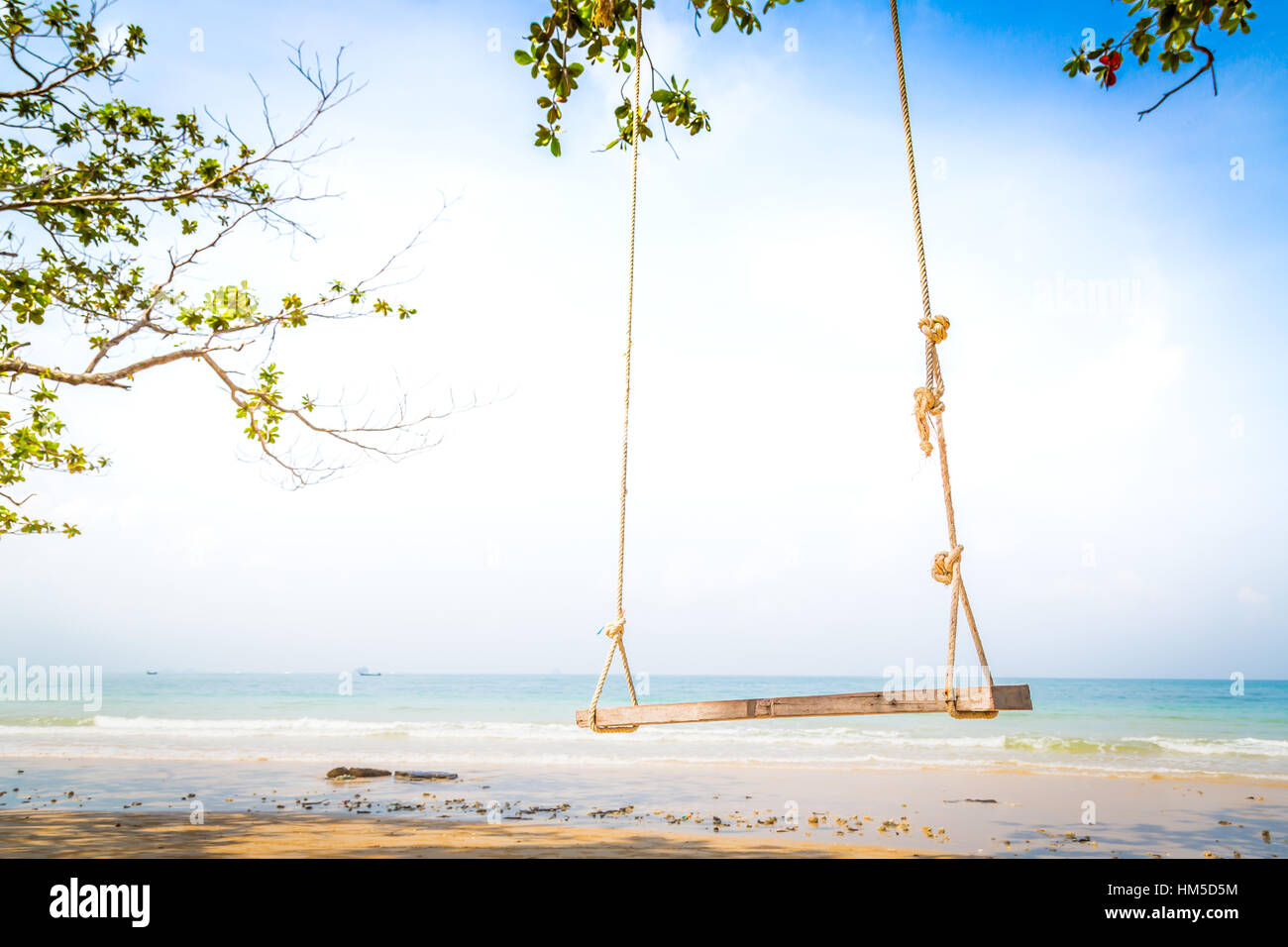 A swing on the beach Stock Photo - Alamy