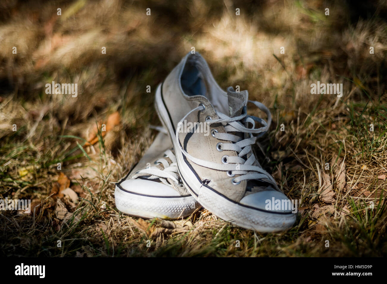 canvas shoes lying in the graas Stock Photo - Alamy