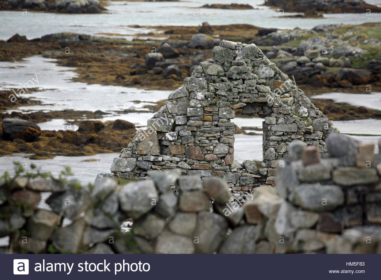 Irish house in ruins made of stone and stone walls by the sea in Galway ...