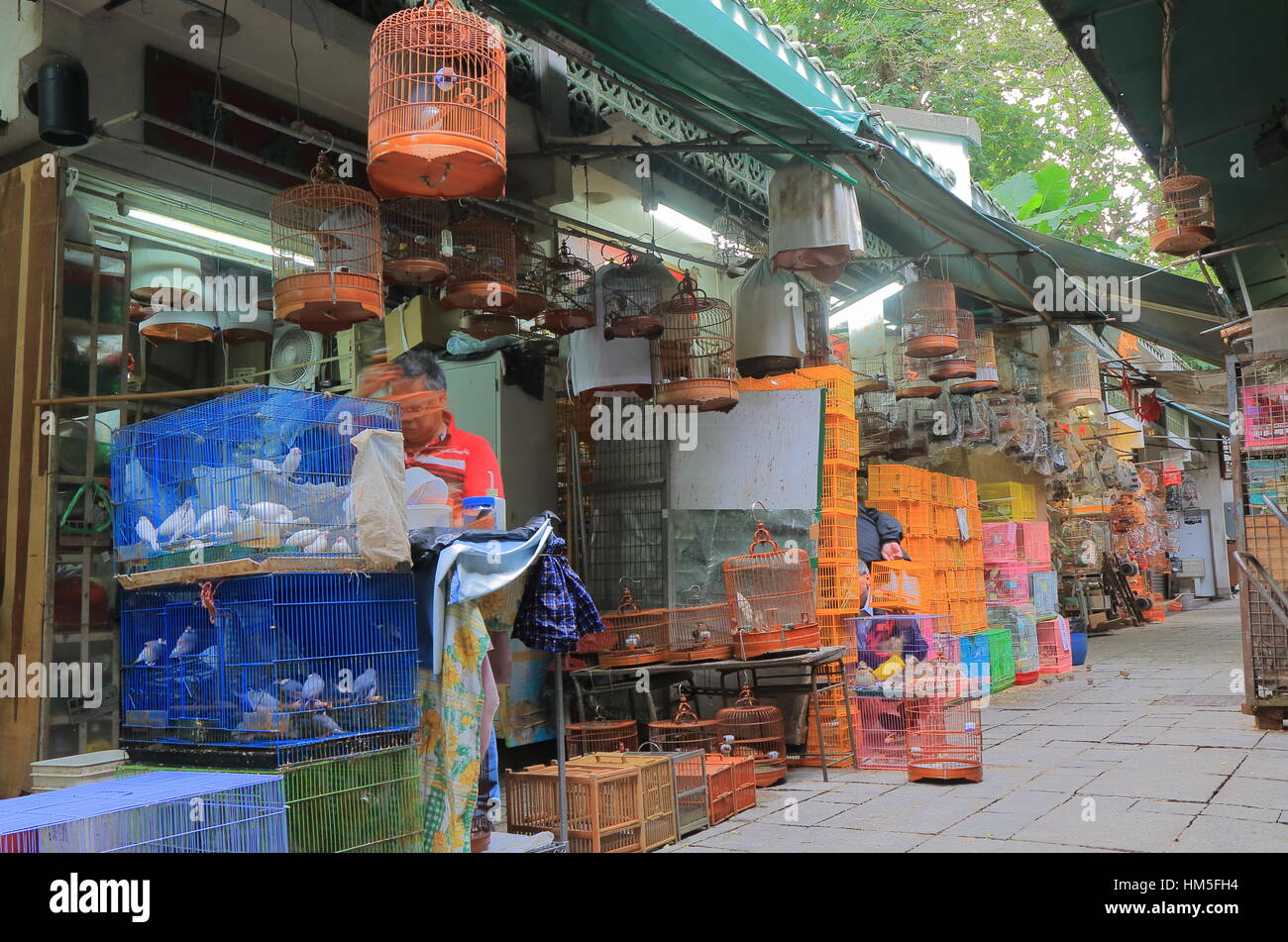 Yuen Po street Bird Garden in Hong Kong Stock Photo - Alamy