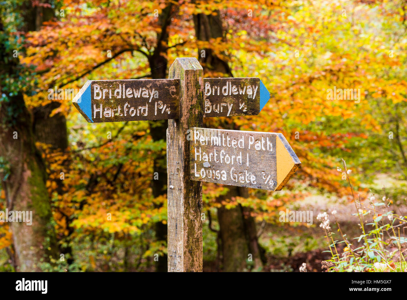 Signpost in woodland at Hartford Bottom in Exmoor National Park ...