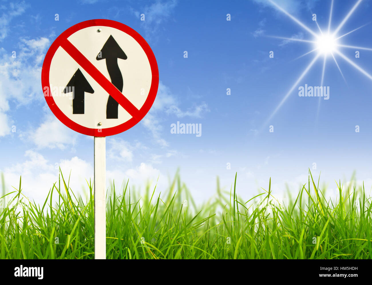 Traffic sign and fresh spring green grass Stock Photo - Alamy