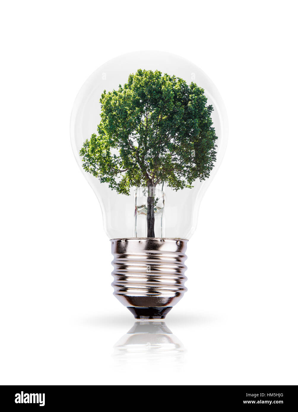 Green tree in transparent Cut Out Stock Images & Pictures - Alamy