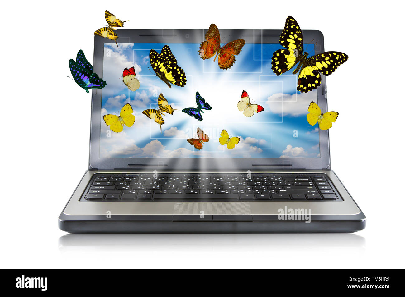 Butterfly reaches out of Laptop Stock Photo - Alamy
