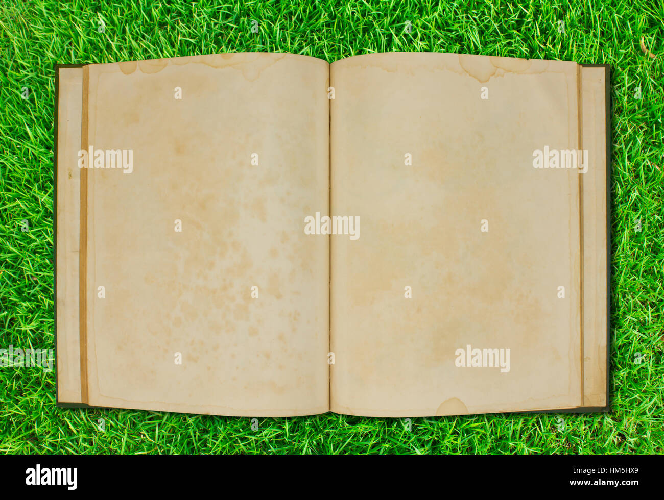 Notebook on fresh spring green grass Stock Photo - Alamy