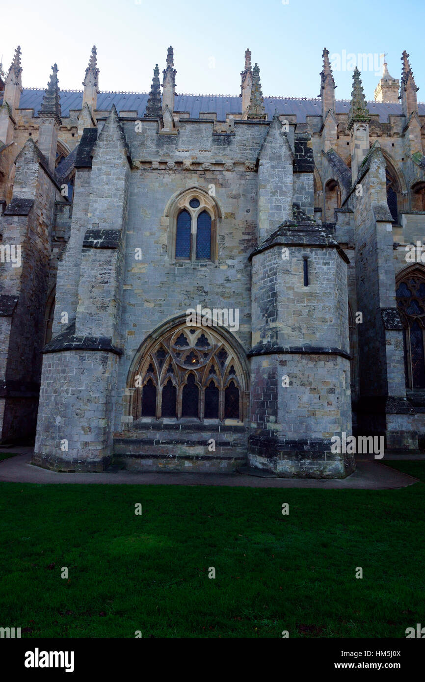 Exeter cathedral chapter house hi-res stock photography and images - Alamy