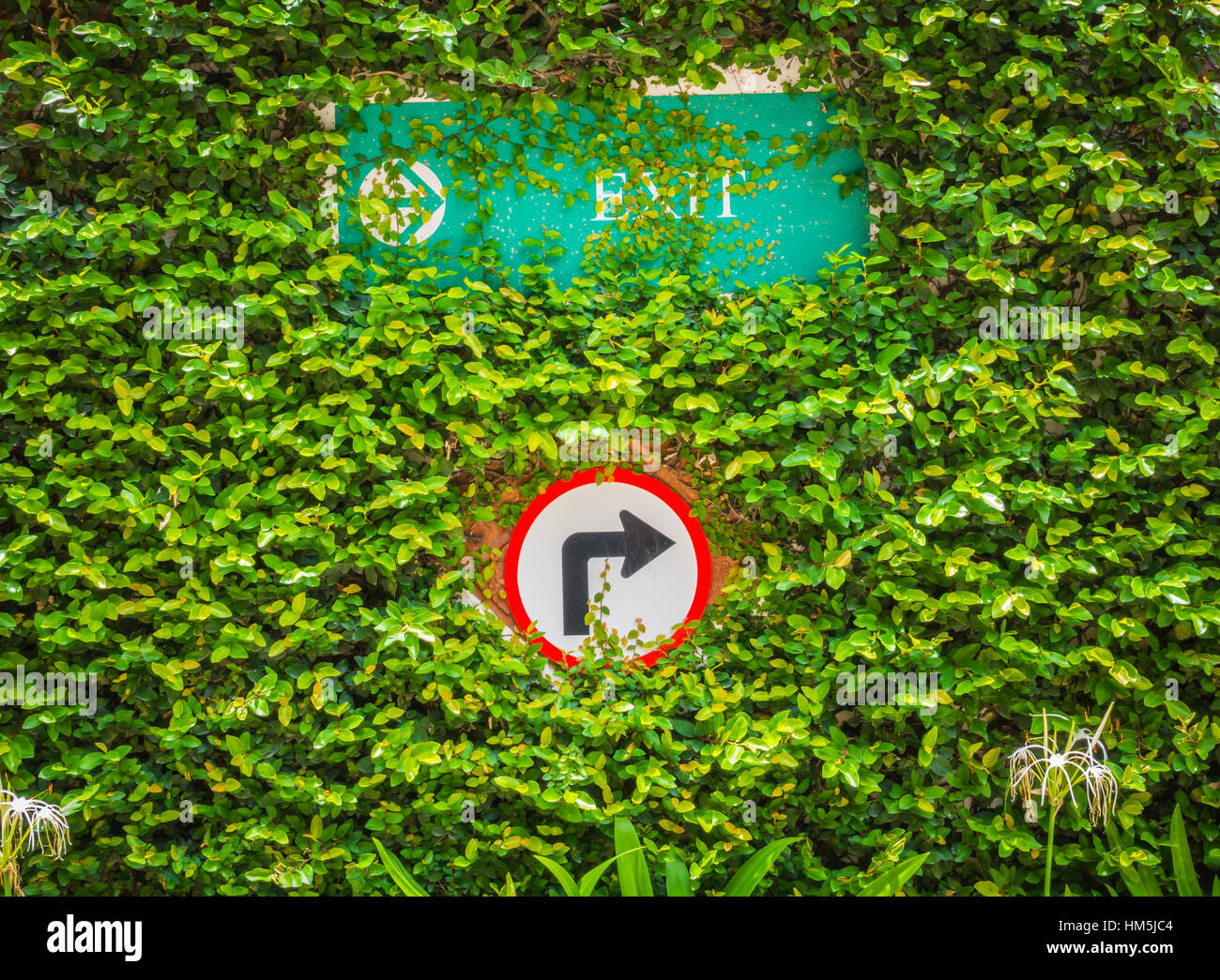 Turns to the right sign with green leaf Stock Photo - Alamy