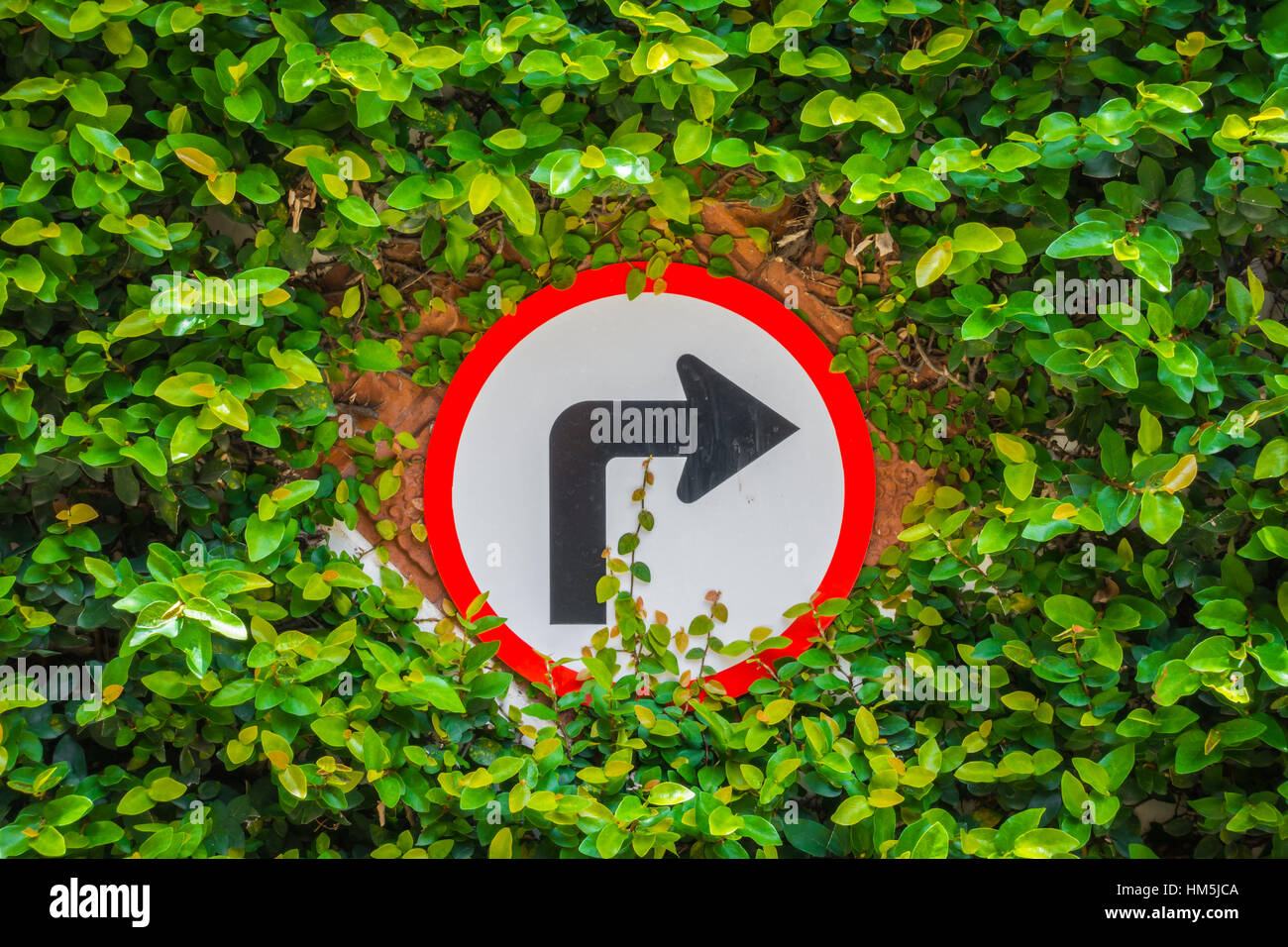 Turns to the right sign with green leaf Stock Photo - Alamy