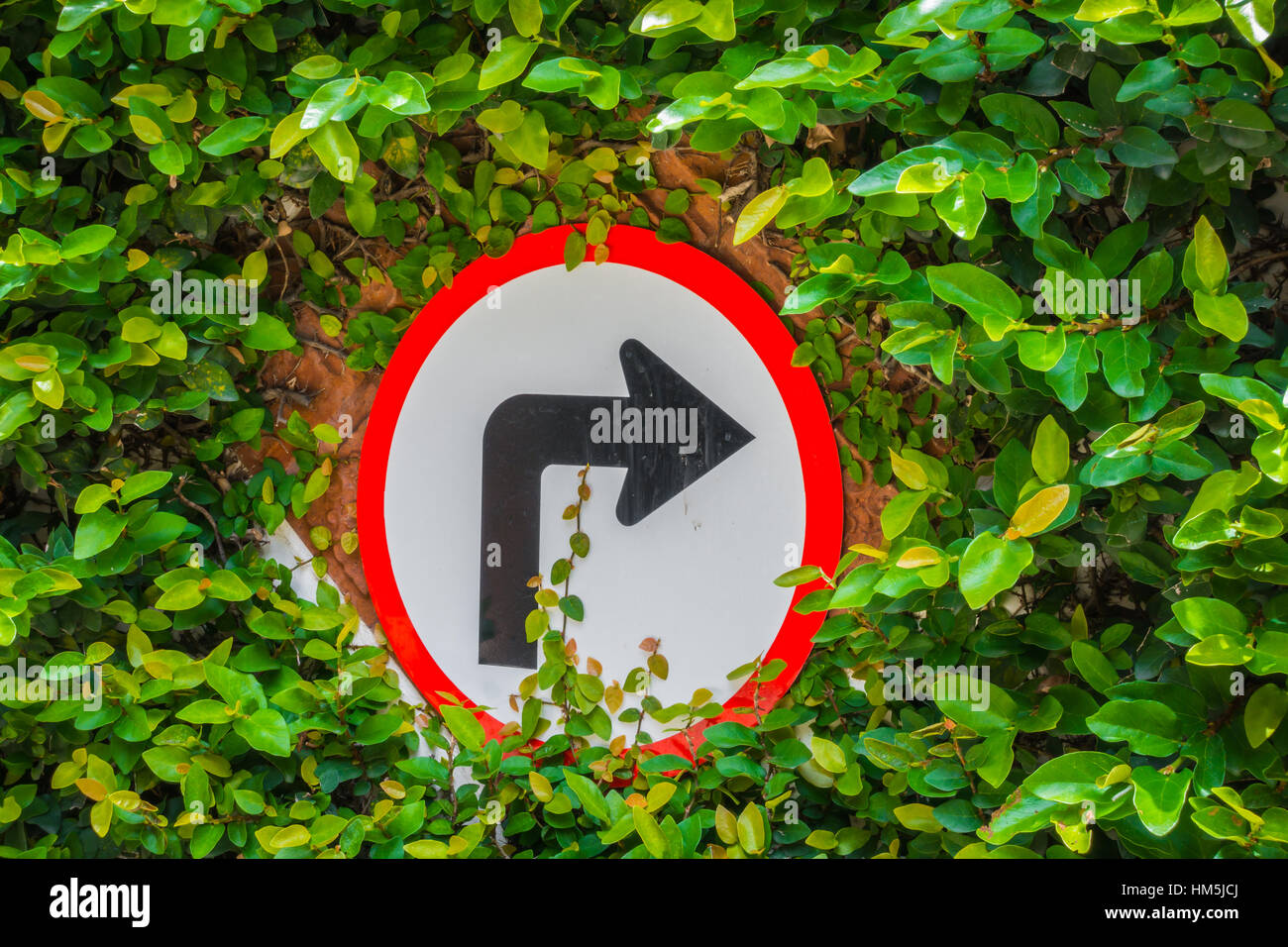 Turns to the right sign with green leaf Stock Photo - Alamy