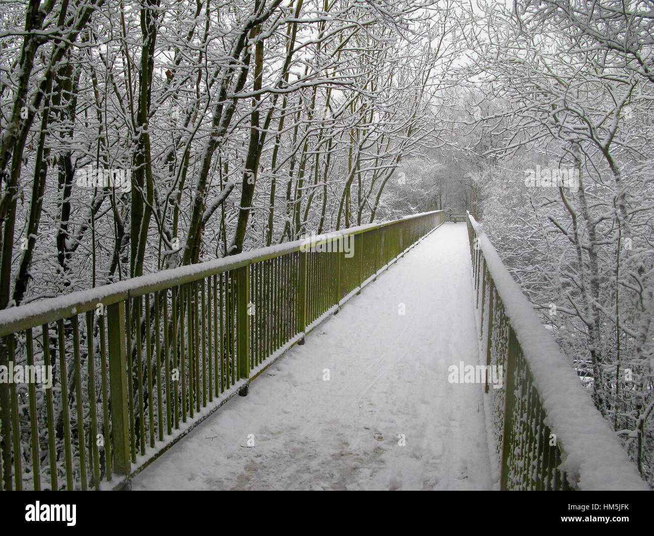 A footbridge crossing into woodland in heavy snow Stock Photo - Alamy