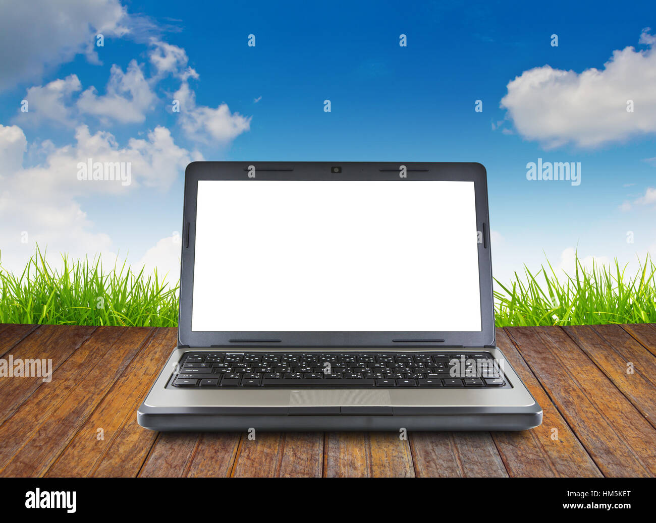 Laptop on wood floor with green grass Stock Photo - Alamy