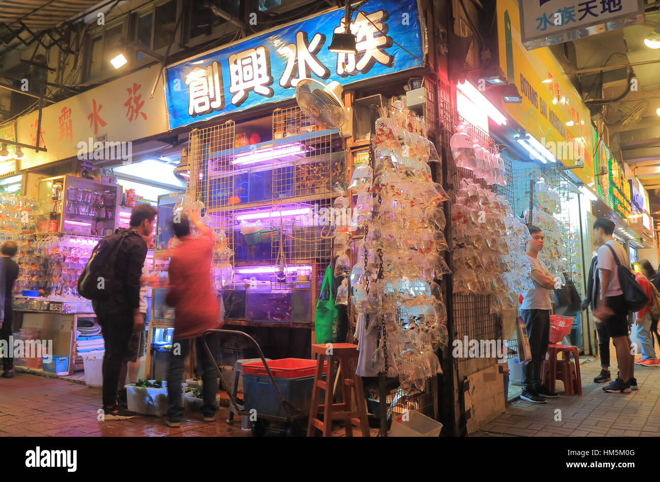 People visit Goldfish market in Mong Kok in Hong Kong Stock Photo - Alamy