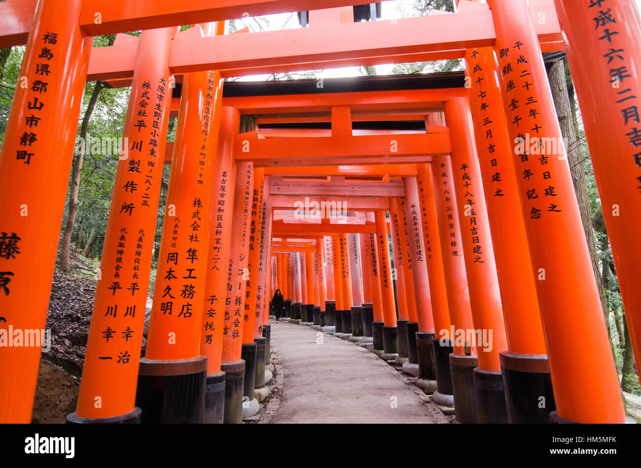 Torii gate at Fushimi Inari Shrine Stock Photo - Alamy