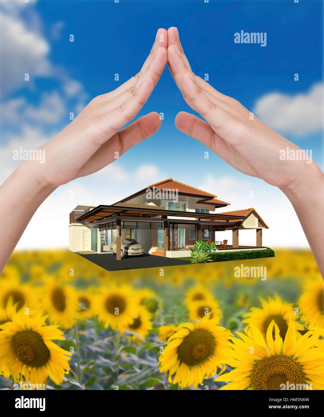 The house under hand Stock Photo - Alamy