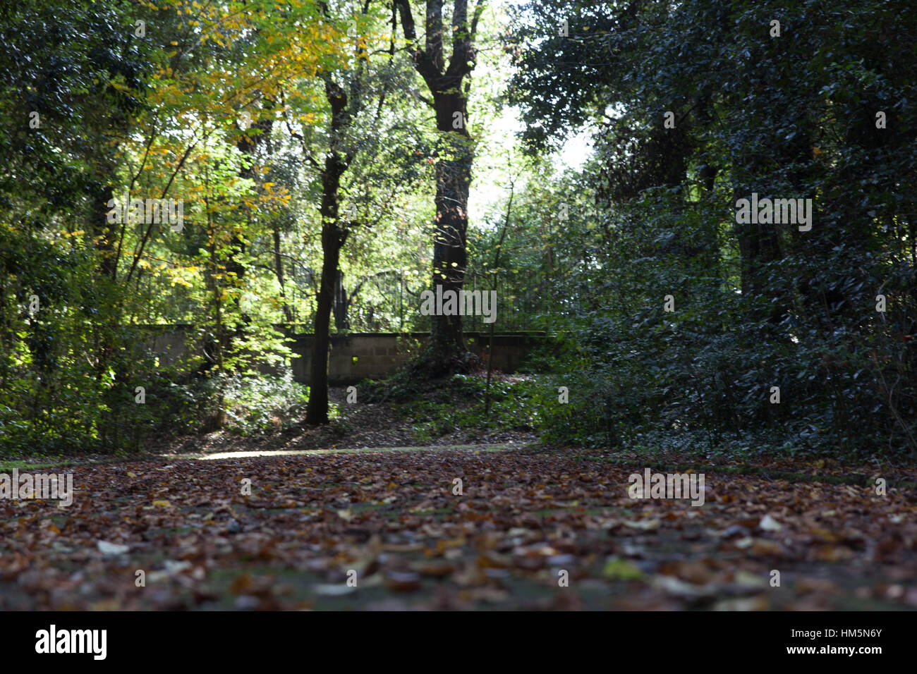 Capodimonte napoli hi-res stock photography and images - Alamy