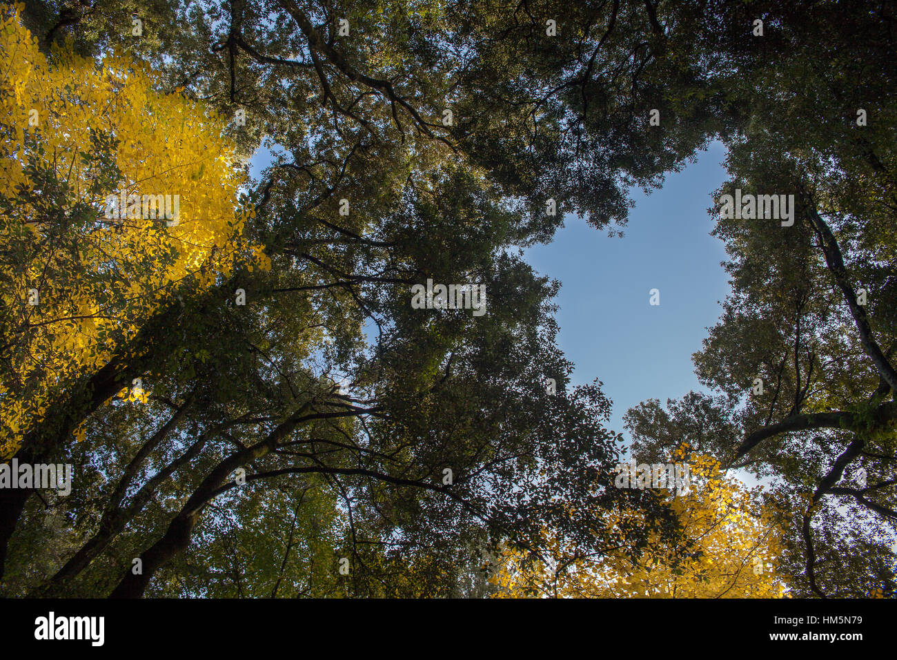 Capodimonte napoli hi-res stock photography and images - Alamy