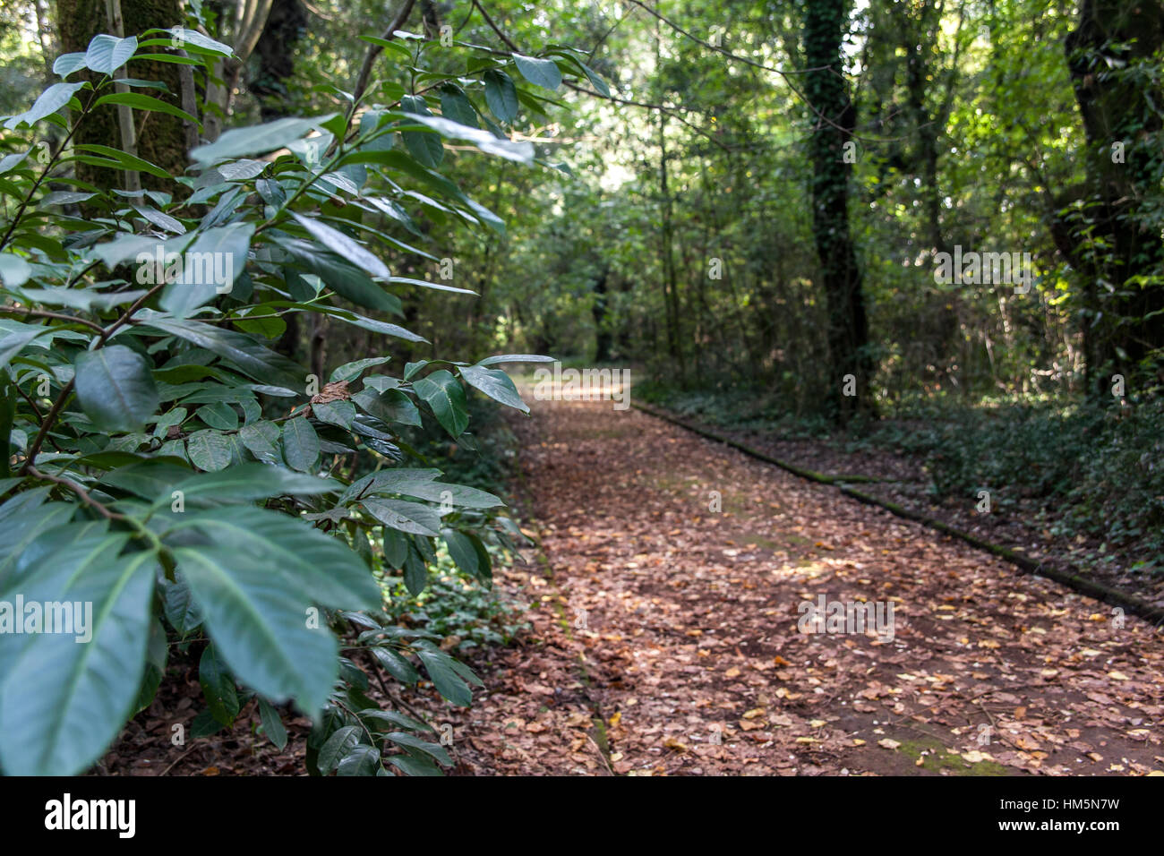 Capodimonte napoli hi-res stock photography and images - Alamy