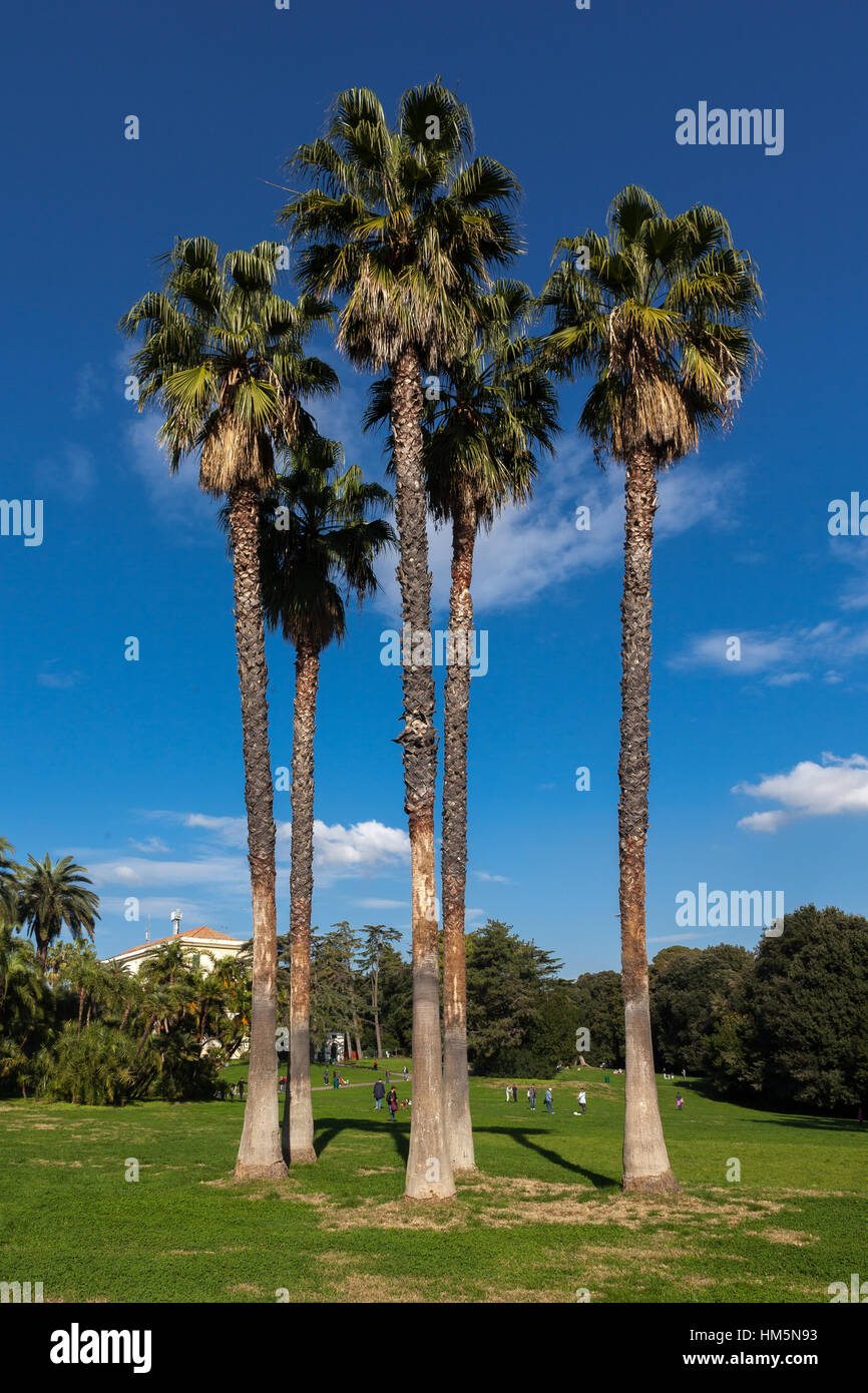 reflection of the forest fountain Stock Photo - Alamy