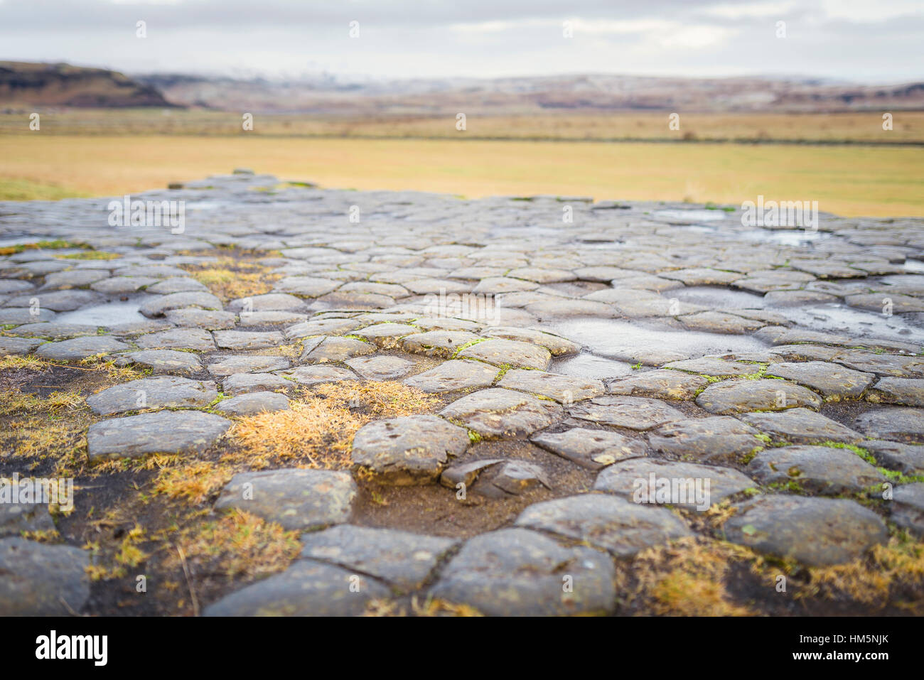 Stones on field Stock Photo - Alamy