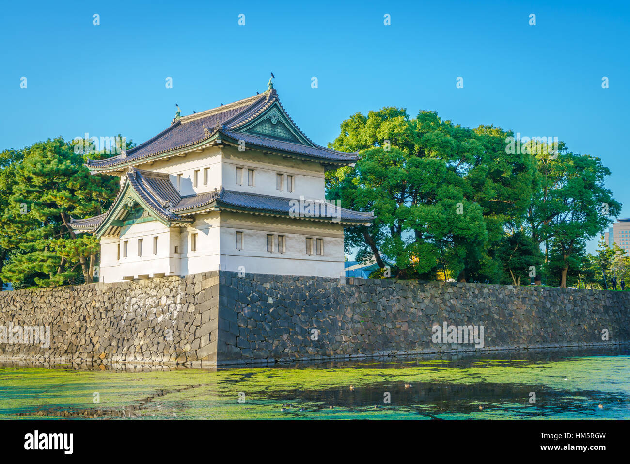 Beautiful Imperial Palace in Tokyo, japan Stock Photo - Alamy