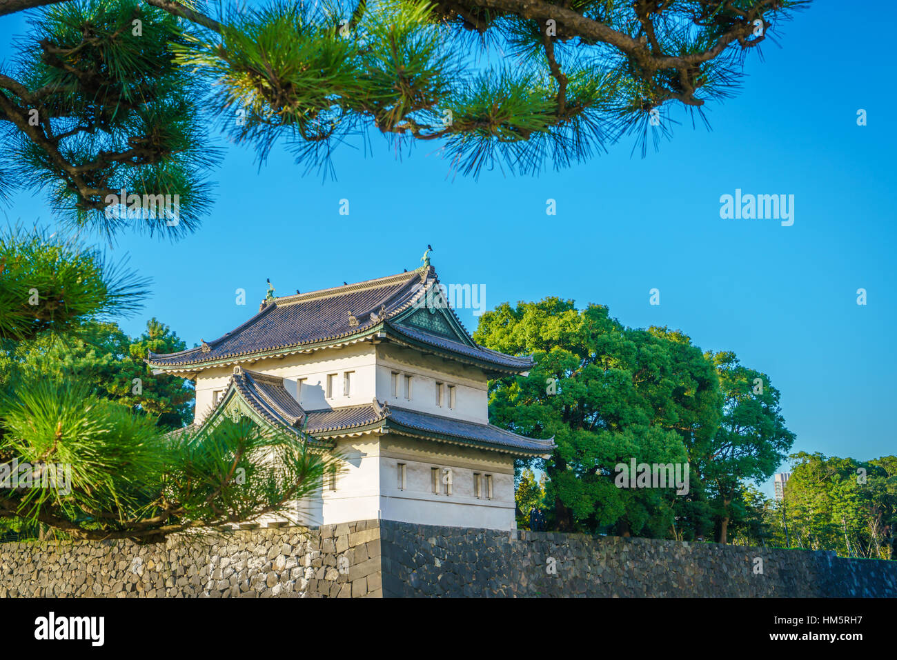Beautiful Imperial Palace in Tokyo, japan Stock Photo - Alamy