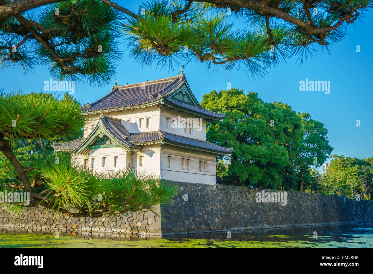 Beautiful Imperial Palace in Tokyo, japan Stock Photo - Alamy