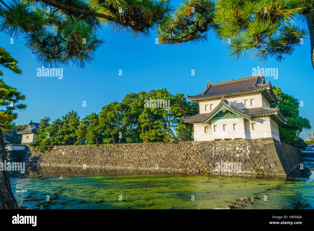 Beautiful Imperial Palace in Tokyo, japan Stock Photo - Alamy