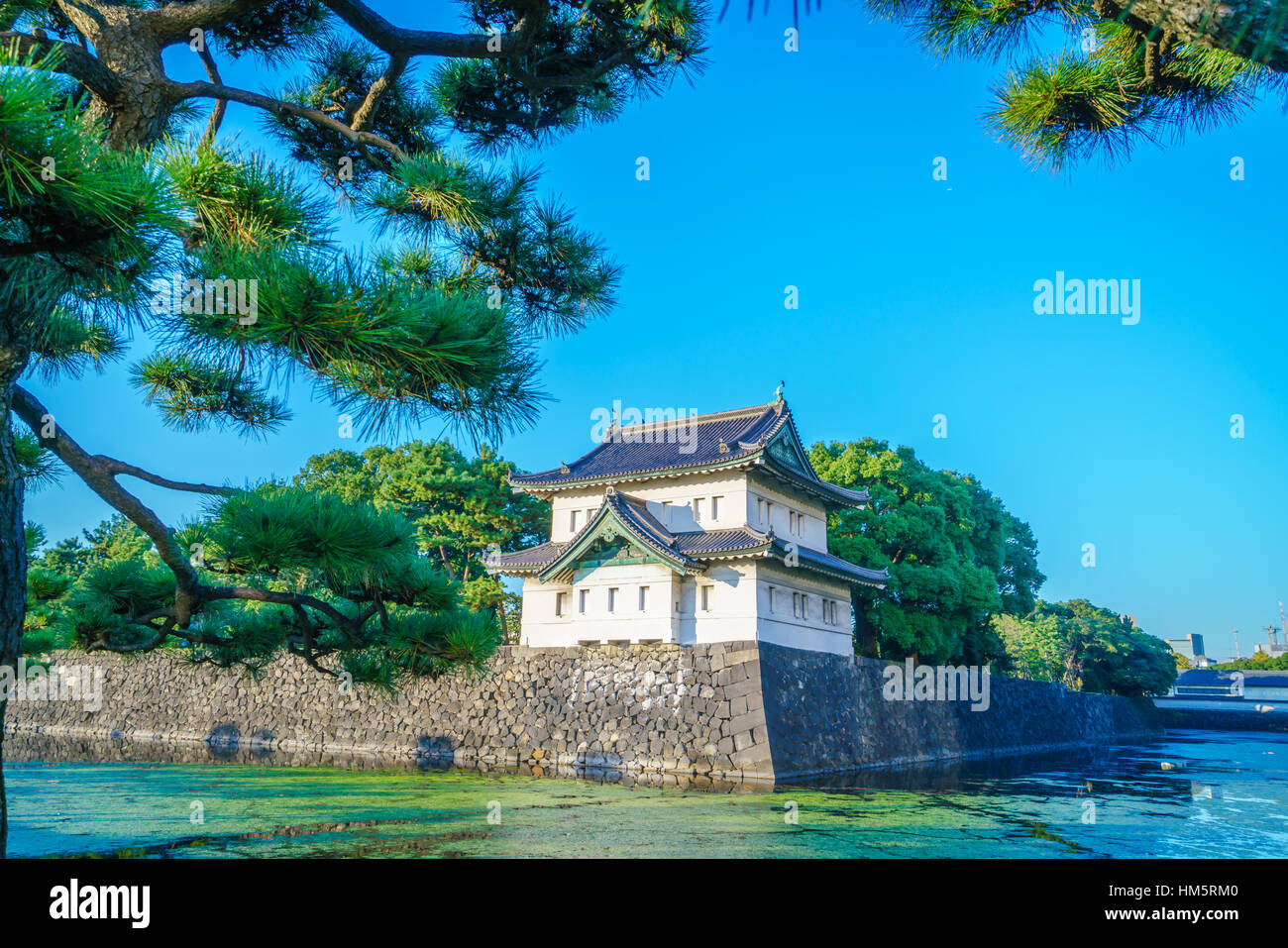 Beautiful Imperial Palace in Tokyo, japan Stock Photo - Alamy