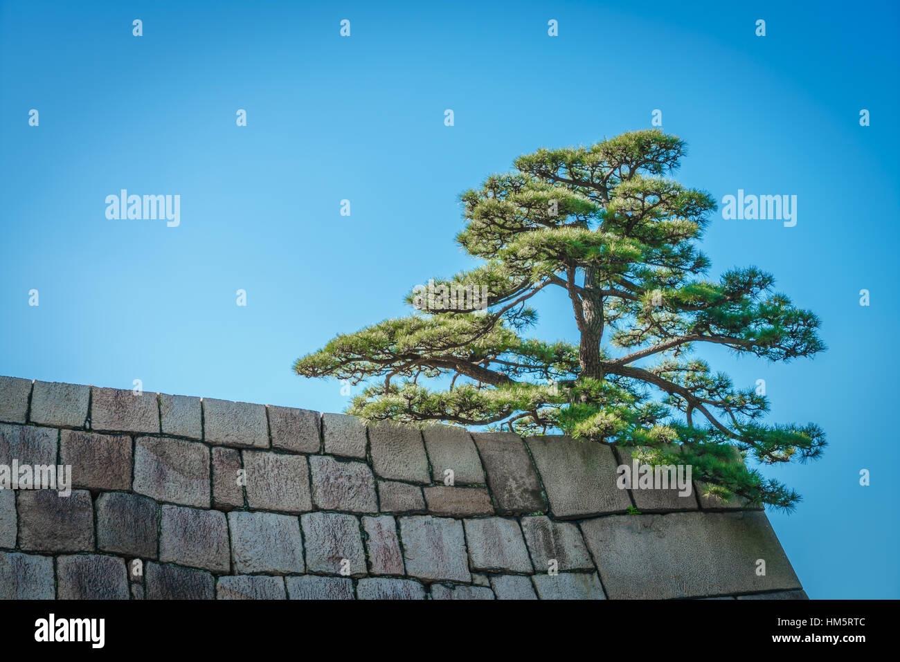 The foundation of a Castle tower of the Edo-jo Castle,Japan Stock Photo ...