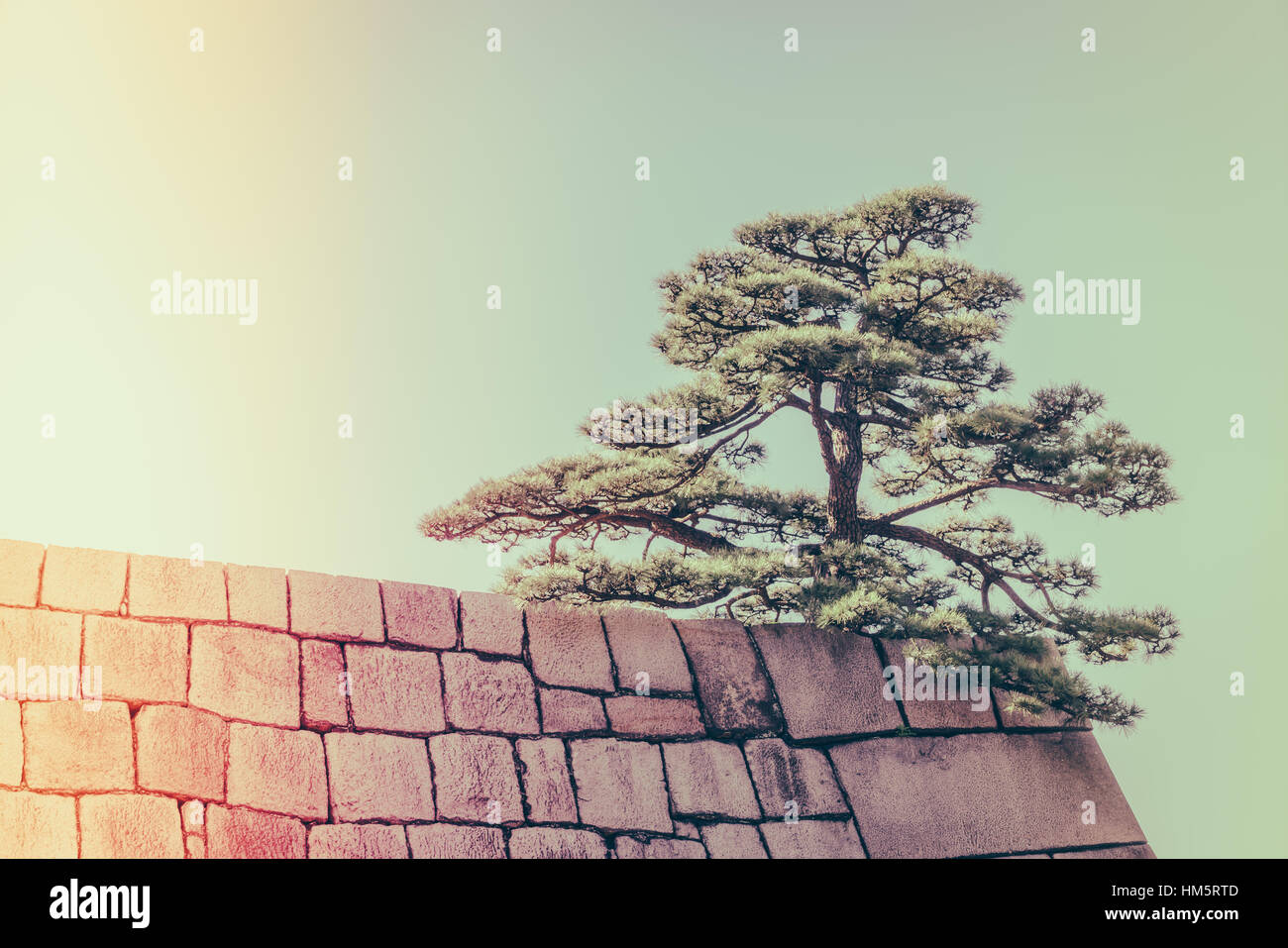 The foundation of a Castle tower of the Edo-jo Castle,Japan ( Filtered ...