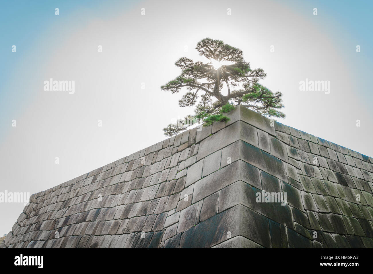 The foundation of a Castle tower of the Edo-jo Castle,Japan Stock Photo ...