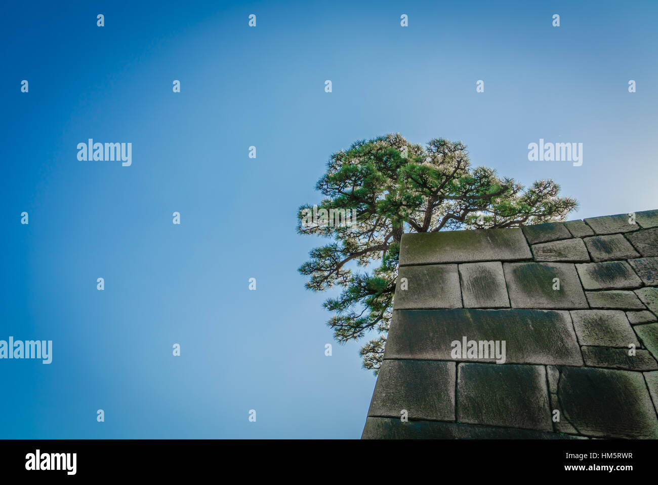 Edo castle foundation hi-res stock photography and images - Alamy