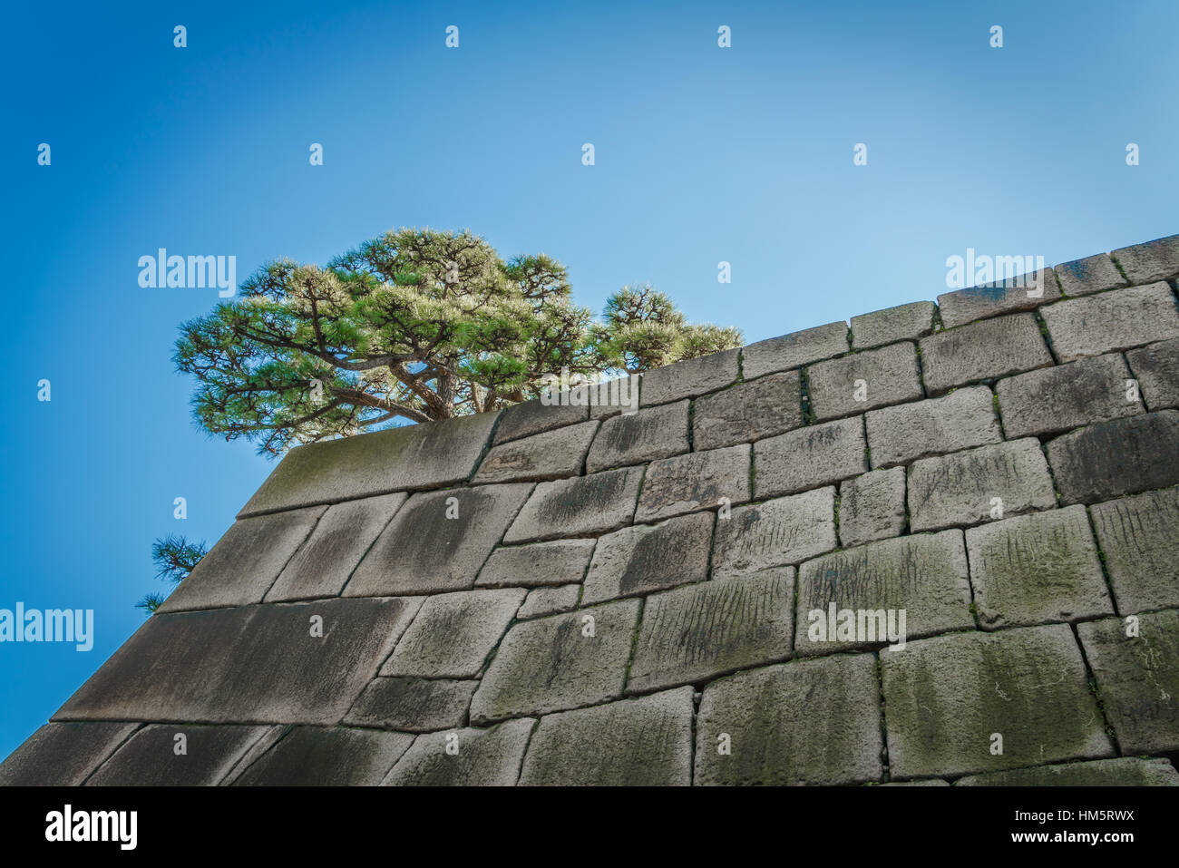 The foundation of a Castle tower of the Edo-jo Castle,Japan Stock Photo ...