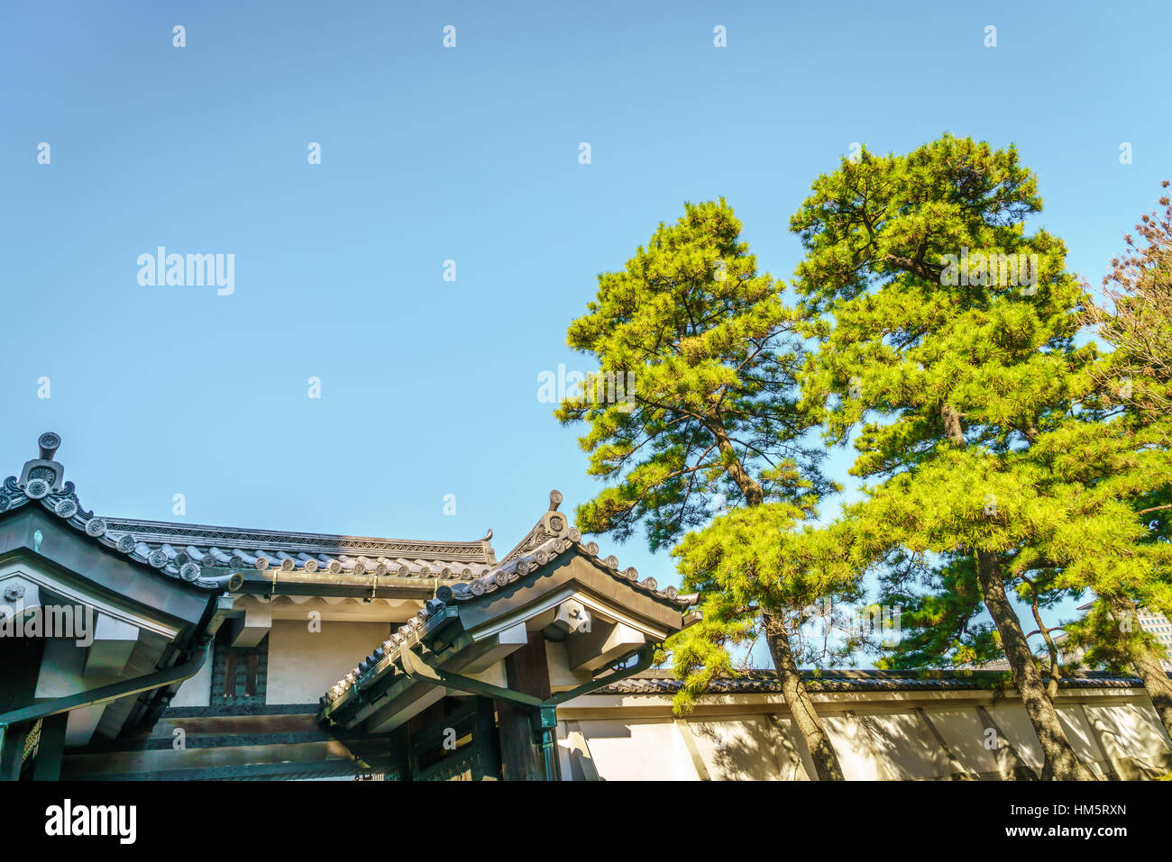 Beautiful Imperial Palace in Tokyo, japan Stock Photo - Alamy