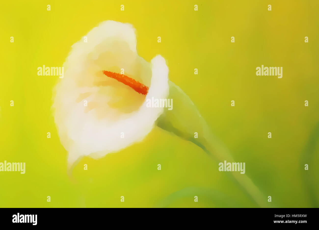 beautiful radiant cala flower on decorative background, graphic from ...