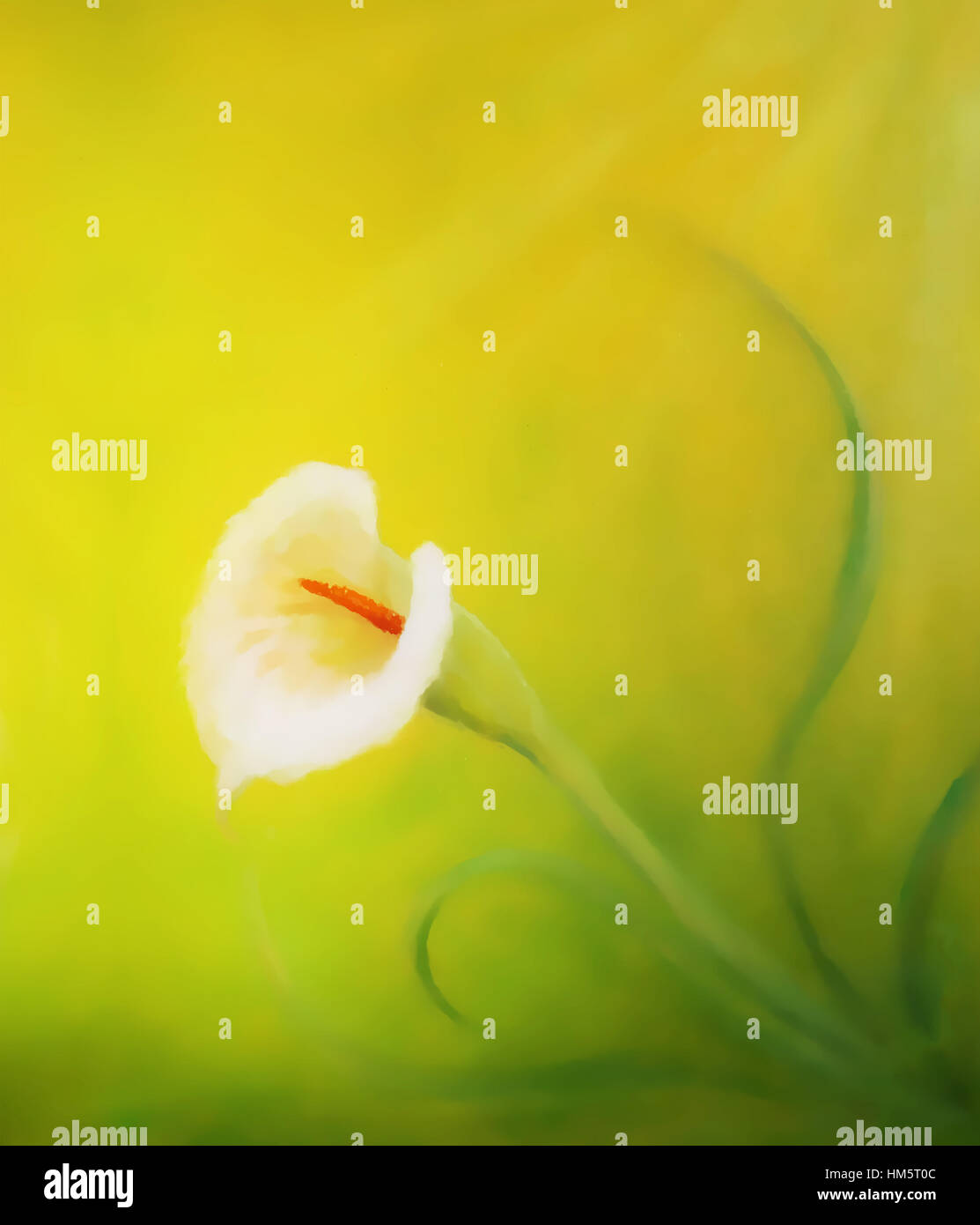 Cala lily pattern hi-res stock photography and images - Alamy