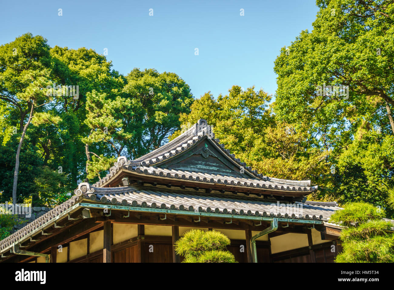 Beautiful Imperial Palace in Tokyo, japan Stock Photo - Alamy