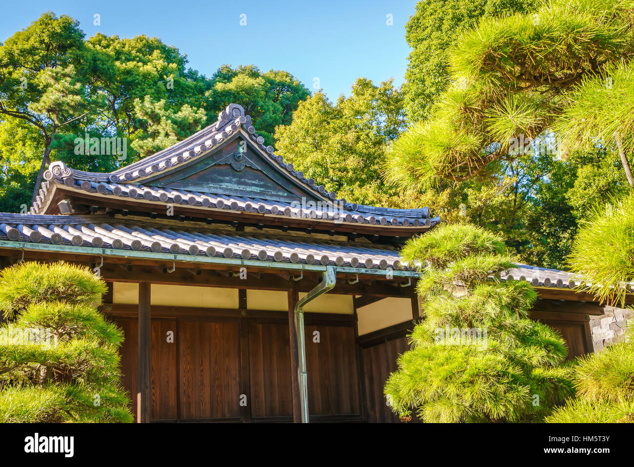 Beautiful Imperial Palace in Tokyo, japan Stock Photo - Alamy